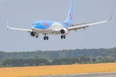 'Venomous' snake escapes on packed TUI flight bound for UK - could have ...
