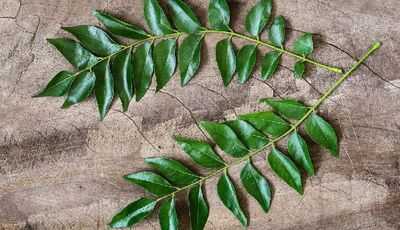 10 DIY Ways To Treat Premature Greying Beard