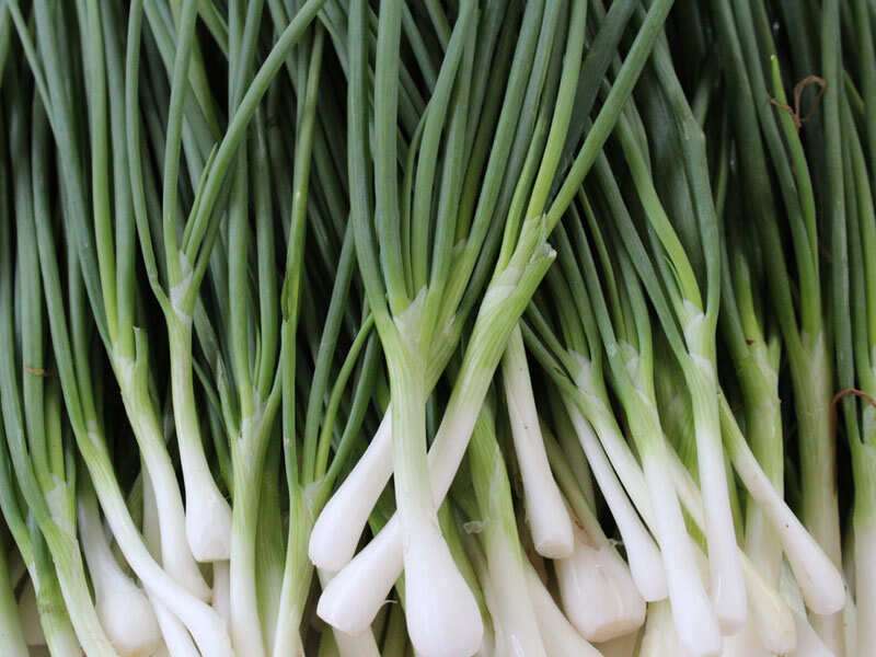 Health Benefits Of Onion Leaves