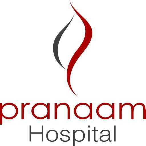 Pranam Logo Affordable Flats And Independent Villas By Modi Properties